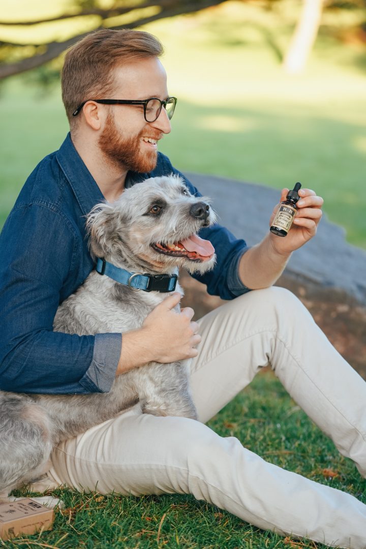 Administering Medication: Tips for Pet Owners-Regal Animal Hospital
